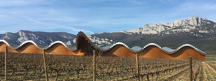 Bodegas Ysios | The WineBirds